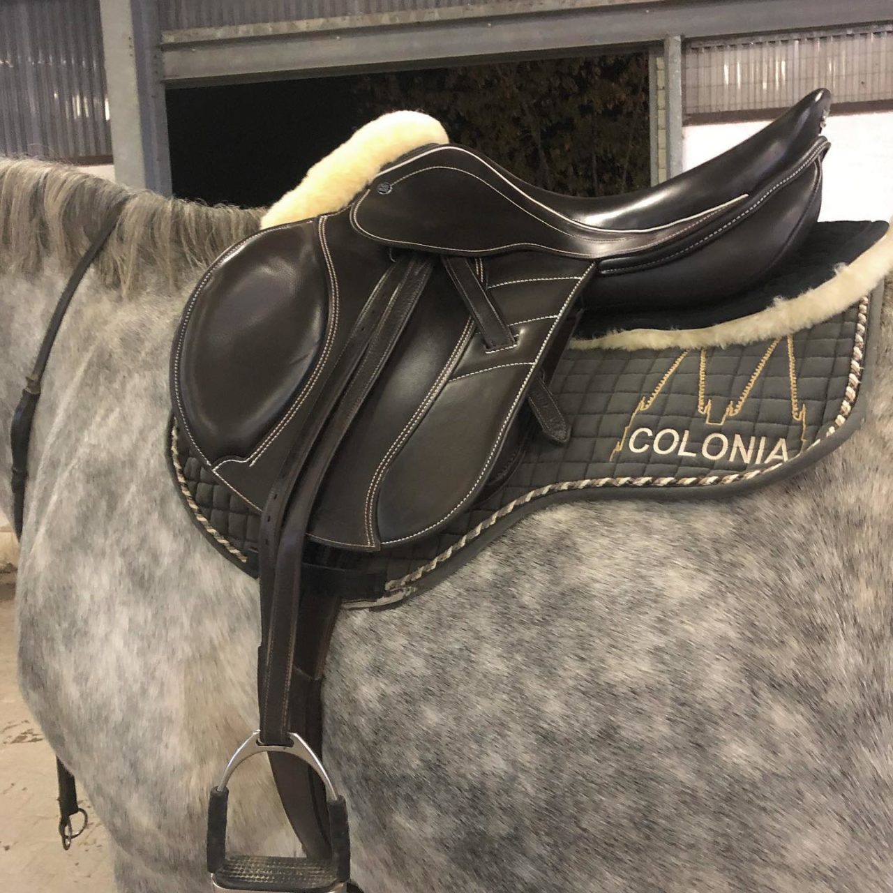 Springsättel - Sattellust - Hannah Stumpf - Sattlermeisterin im Gebiet ...